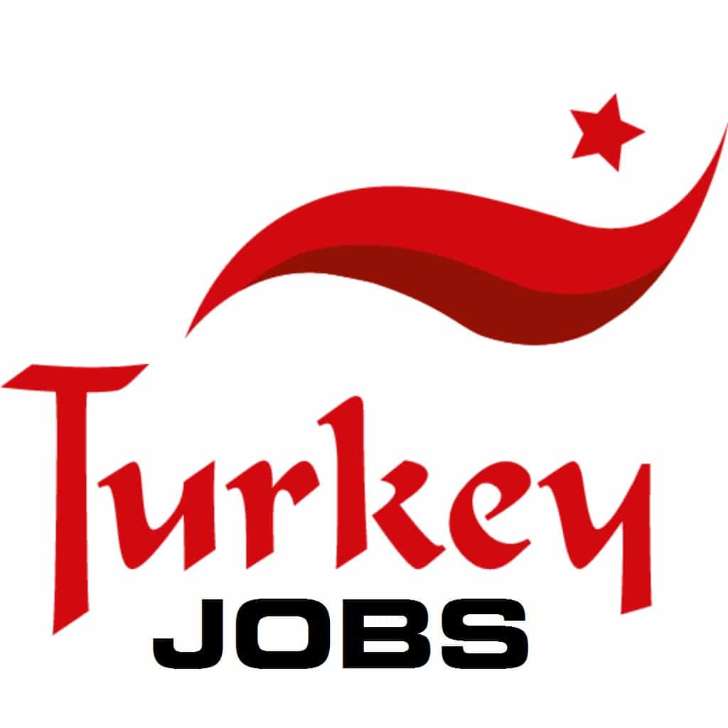 Top 10 Degrees that Guarantee a Job in Turkey